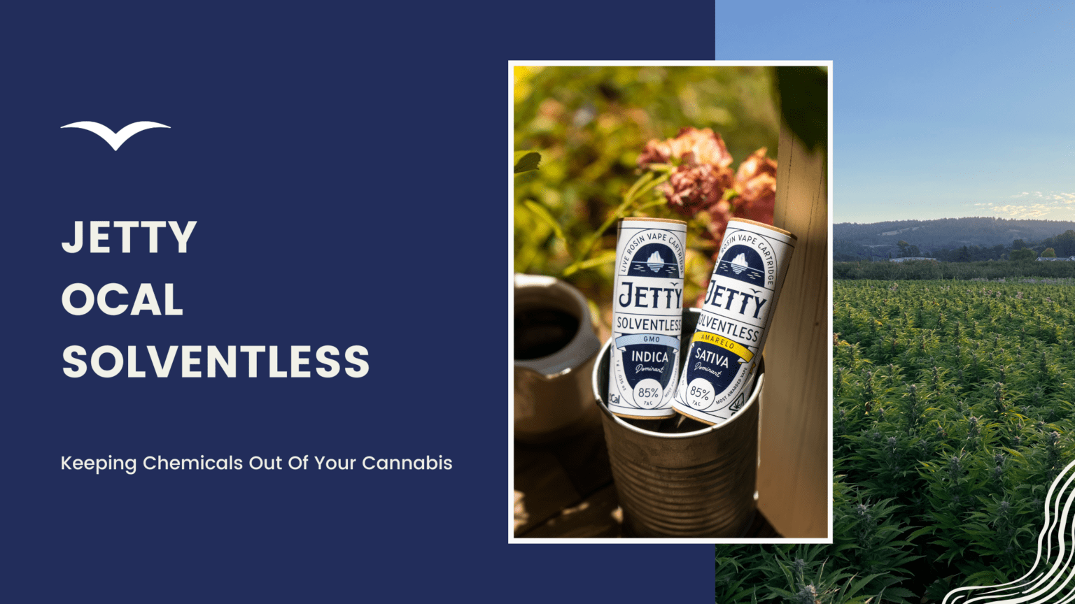 Homepage - Solventless, Live Rosin, Vape Shop | Jetty Extracts