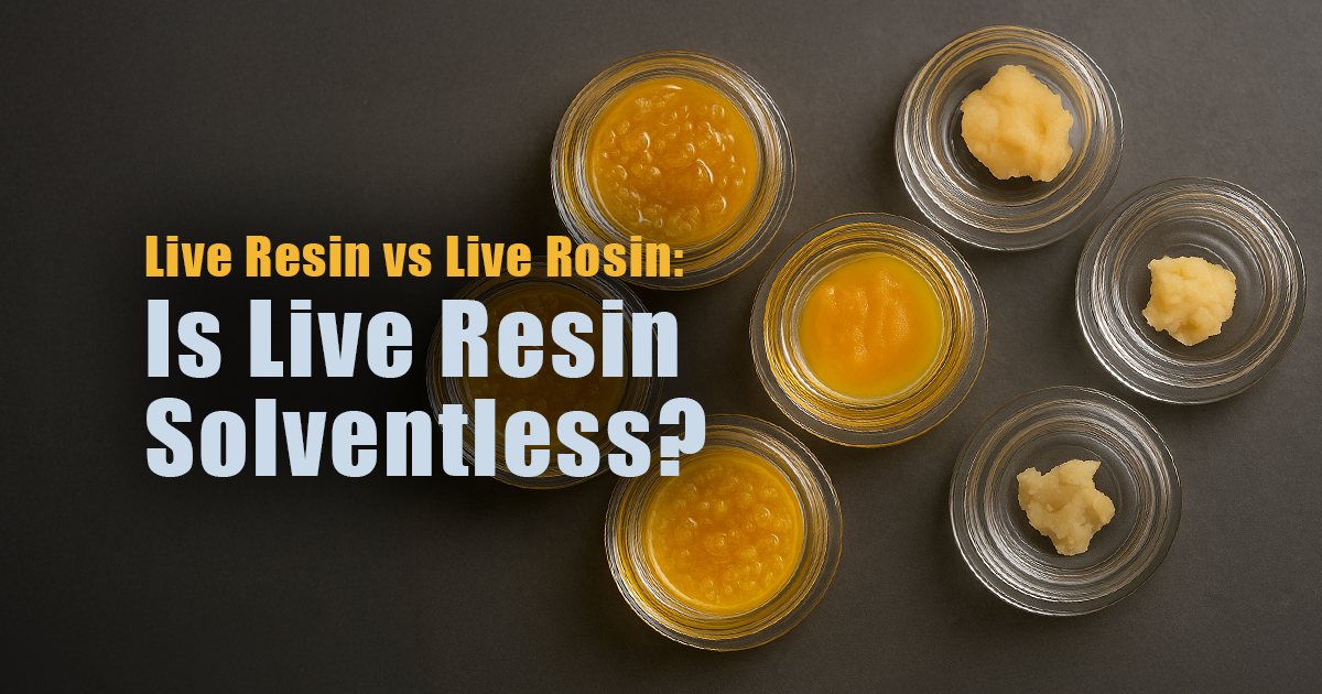 Live Resin vs Live Rosin: Key Differences | Jetty Extracts